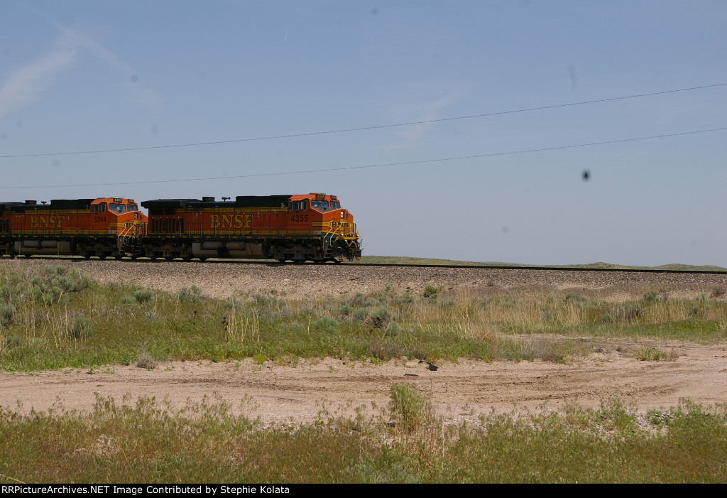 BNSF 4355